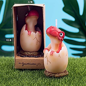 Dinosaur Baby Candle for Baby Shower Birthday Easter Party Children