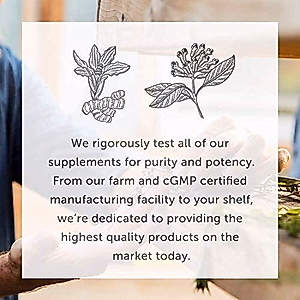 Global Healing Calcium and Magnesium Orotate - Bone Strength Supplement for Women and Men - Helps Support Strong Teeth and Cardiovascular Health for Normal Muscle Function - 120 Capsules