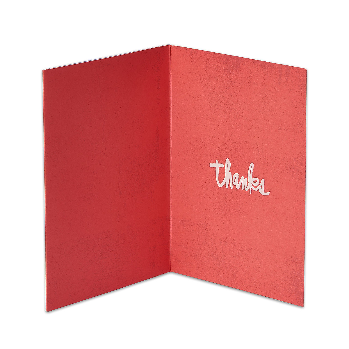 American Greetings Thank You Card (Best thing In the World)