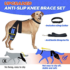 Dog Knee Brace for Torn ACL Hind Leg, Strong Dog Leg Braces for Back or Front Leg with 2 Metal Strips, Adjustable Anti-Slip Dog ACL Hip Brace for Large Medium Small Dogs with Cruciate Ligament Injury