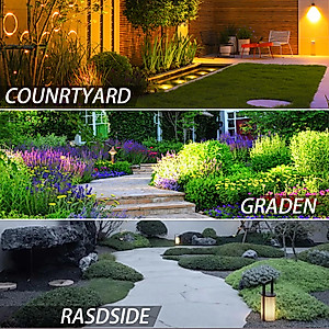 ORALUCE 12V LED Light Bulb Low Voltage,AC/DC 12-24V A19 E26 LED Bulb 60 Watt,6500K Cool White 12 Volt Light Bulb 6W,for Solar Battery System Lighting Marine Boat RV Camping Landscape Garden,6P