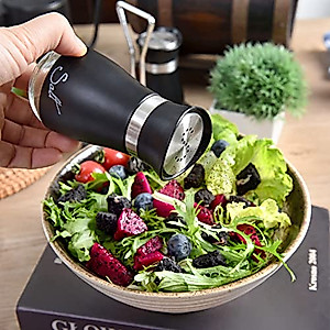 Wartter 2 PCS - Stainless Steel and Glass Salt and Pepper Shaker Sets with Holder (BLACK)