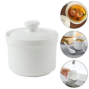 Hemoton Food Serving Bowl Custard Cups Small Ceramic Stew Pot Miso Soup Bowl with Lid Japanese Style Bowl for Bird Nest Tonic Dessert Noodle Soup Salad Pasta Soup Cups with Lids Ceramic Steam Pot