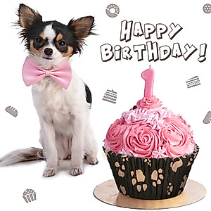 600 Pieces Paw Bone Print Cupcake Liners Puppy Cupcake Holders Dog Theme Cupcake Wrappers Nonstick Baking Cups Paper Muffin Cake Cups for Birthday Wedding Animal Party Favor (Elegant Style)