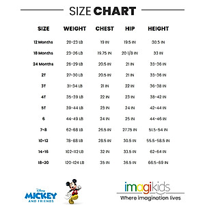 Disney Mickey Mouse Infant Baby Boys French Terry Pullover Hoodie Set Grey 24 Months