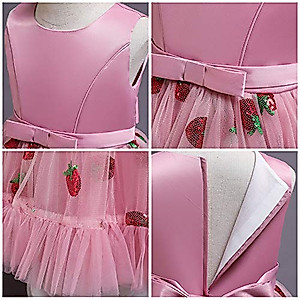 Baby Girls Sleeveless Floral Lace Shiny Strawberry Embroidery Princess Bridesmaid Dress for Baby Flower Ruffles Tulle Communion Baptism Holiday Dance Evening Short Gown Bean Pink 5-6X