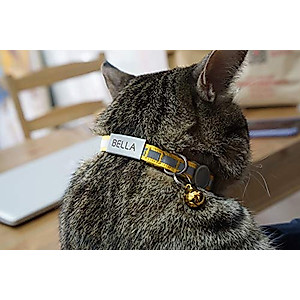 Custom Breakaway Cat Collars with Bell - Engraved Stainless Steel No Noise Slide-On Identification Tags On Collar - Up to 3 Lines of Personalized Text (Reflection)