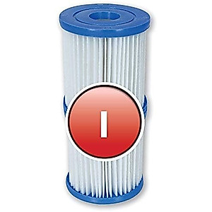 POOL FILTER CARTG I 2PK