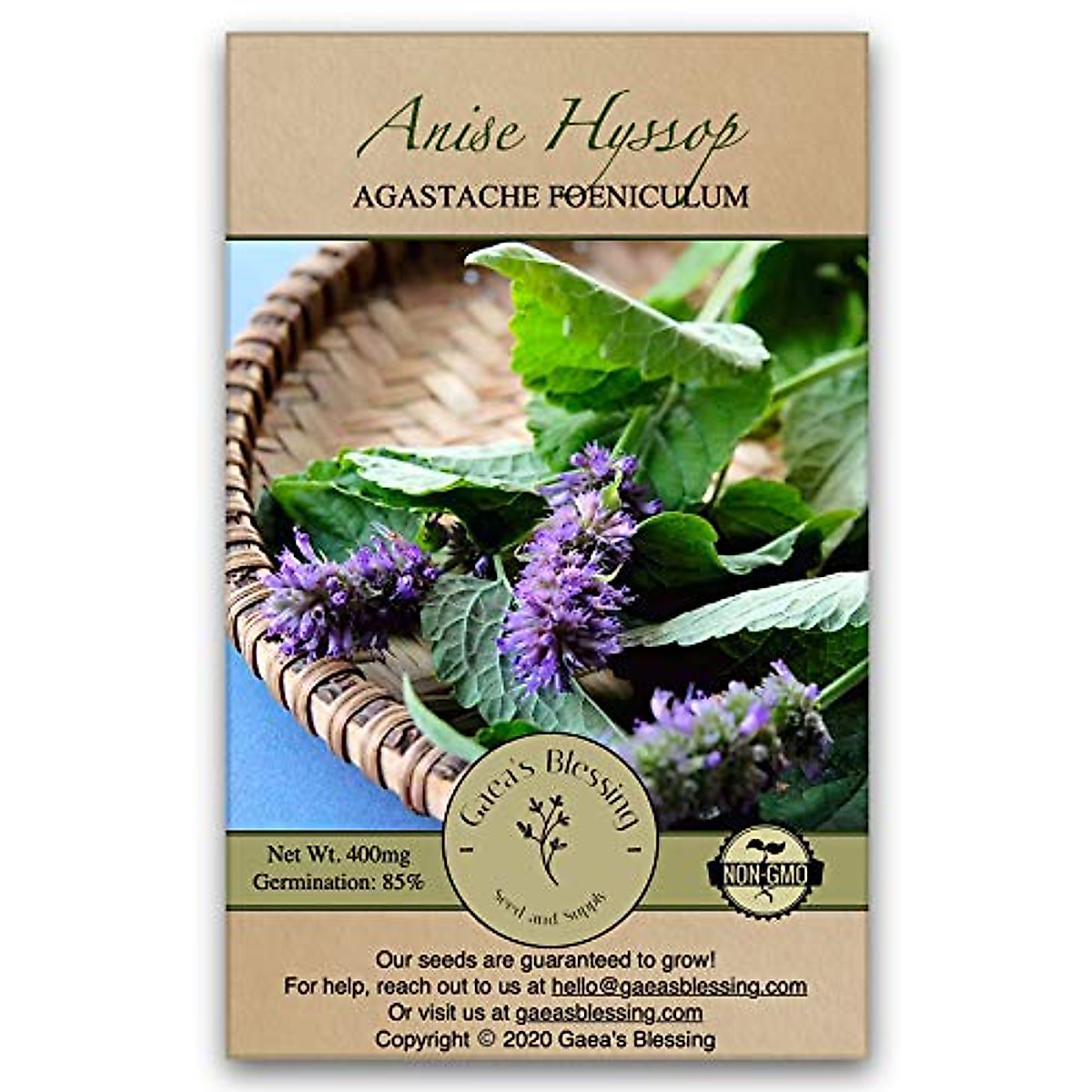 Gaea's Blessing Seeds - Anise Hyssop Herb Seeds - Non-GMO Seeds with Easy to Follow Planting Instructions - Open-Pollinated Heirloom High Germination Rate 96% Germination Rate 400mg