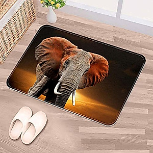 Kenya Old Large Elephant Sunset, Indoor Door Mat Durable Front Door Mats Entryway Rug Non-Slip Absorbent Area Rugs Resist Dirt Rugs for Room Decor, 24"x16"