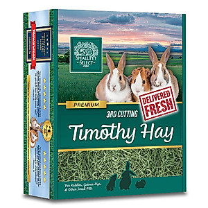 Small Pet Select 3rd Cutting Super Soft Timothy Hay Pet Food for Picky Eaters, Rabbits, Guinea Pigs, and Other Small Animals, Easy to Store Box, 10 LB