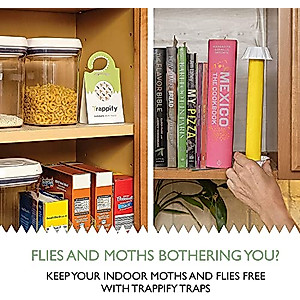 Trappify Sticky Gnat and Fly Traps for Home Pest Control - Fly, Gnats, Moths and Other Flying Insects Traps with Extra Sticky Adhesive - Disposable Fly, Gnat and Moths Catcher - 18 Traps