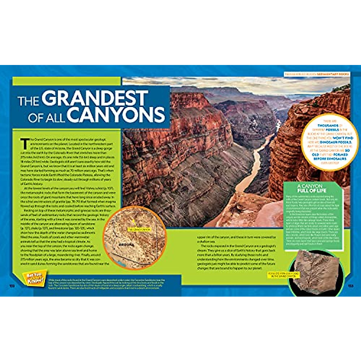 Ultimate Rockopedia: The Most Complete Rocks & Minerals Reference Ever