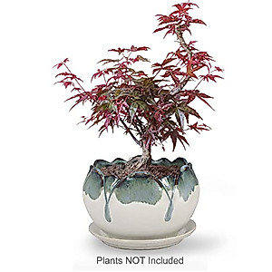 Dahlia 5.5'' Inch Rustic Drip Glazed Ceramic Planter/Succulent Pot/Plant Pot w. Saucer/Tray