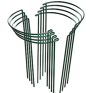 HiGift 8 Pack Plant Support Stakes, Half Round Metal Garden Plant Stake Peony Plant Support Cage, Green Plant Support Ring Border for Tomato,Hydrangea,Flower Indoor Outdoor (10" Wide x 15.8" High)