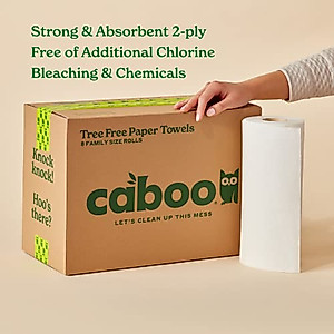 Caboo Tree Free Bamboo Paper Towels, 8 Rolls, Earth Friendly Sustainable Kitchen Paper Towels with Strong 2 Ply