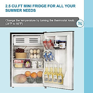 Frestec 2.5 CU' Mini Refrigerator, Small Refrigerator, Mini Fridge with Freezer, Compact Refrigerator, Stainless Steel (FR 250 SL)