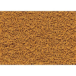 Tetra Large Pellet Koi Food, Floating Pond Food For Koi Fish, Premium Nutrition With Color Enhancers, 5.18 Lbs