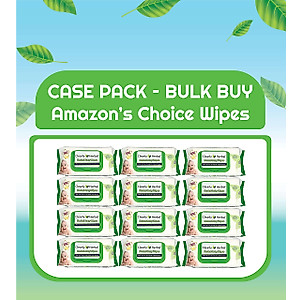 Clearly Herbal Baby Wipes, made with Essential Oils and Natural Herbal Extracts, Parent's Choice, Case Pack 864 Plant Based Wipes (12 Packs x 72 Count)