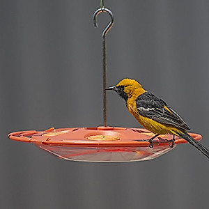 Perky-Pet Plastic 16-Ounce Oriole Feeder- 467-3