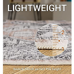 befbee 5x7 Area Rugs for Living Room,Stain Resistant Washable Rug,Non-Slip Backing Rugs for Bedroom,Kitchen,Boho Persian Rug -Vintage Home Decor (Peach/Grey, 5'x7')