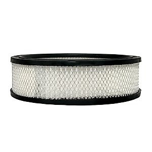 ACDelco GM Original Equipment A773C Air Filter