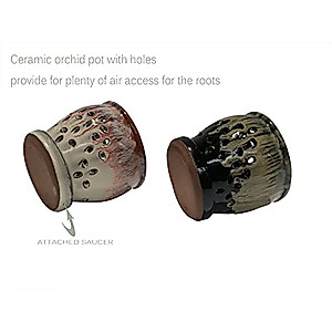 Orchid Pots with Holes 4.33 inch Ceramic Orchid Planter White and Black (Set of 2)