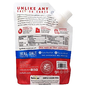 Redmond Real Sea Salt - Natural Unrefined Gluten Free Kosher, 16 Ounce Pouch (1 Pack)