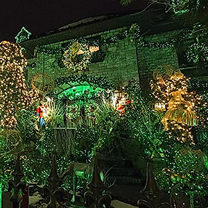 FUNPENY 164FT 500 LED St. Patrick's Day String Lights, 8 Modes Waterproof Plug in Green Wire LED Fairy Light for Indoor Outdoor Christmas Party Wedding Garden Home Decoration (Green)