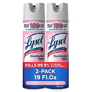 Lysol Disinfectant Spray, Sanitizing And Antibacterial Spray, For Disinfecting And Deodorizing, Early Morning Breeze, 19 Fl Oz (Pack Of 2), Packaging May Vary
