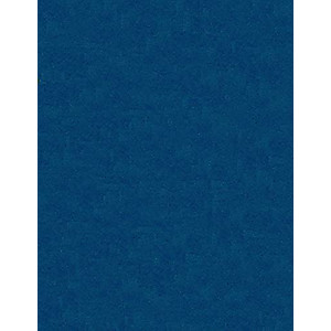Bundle - 2 Cardstock Items - Pearlescent Blue - 8.5 x 11 inch - 105Lb Cover; Pearlescent Red - 8.5 x 11 inch - 105Lb Cover - 20 Sheets Total - Clear Path Paper