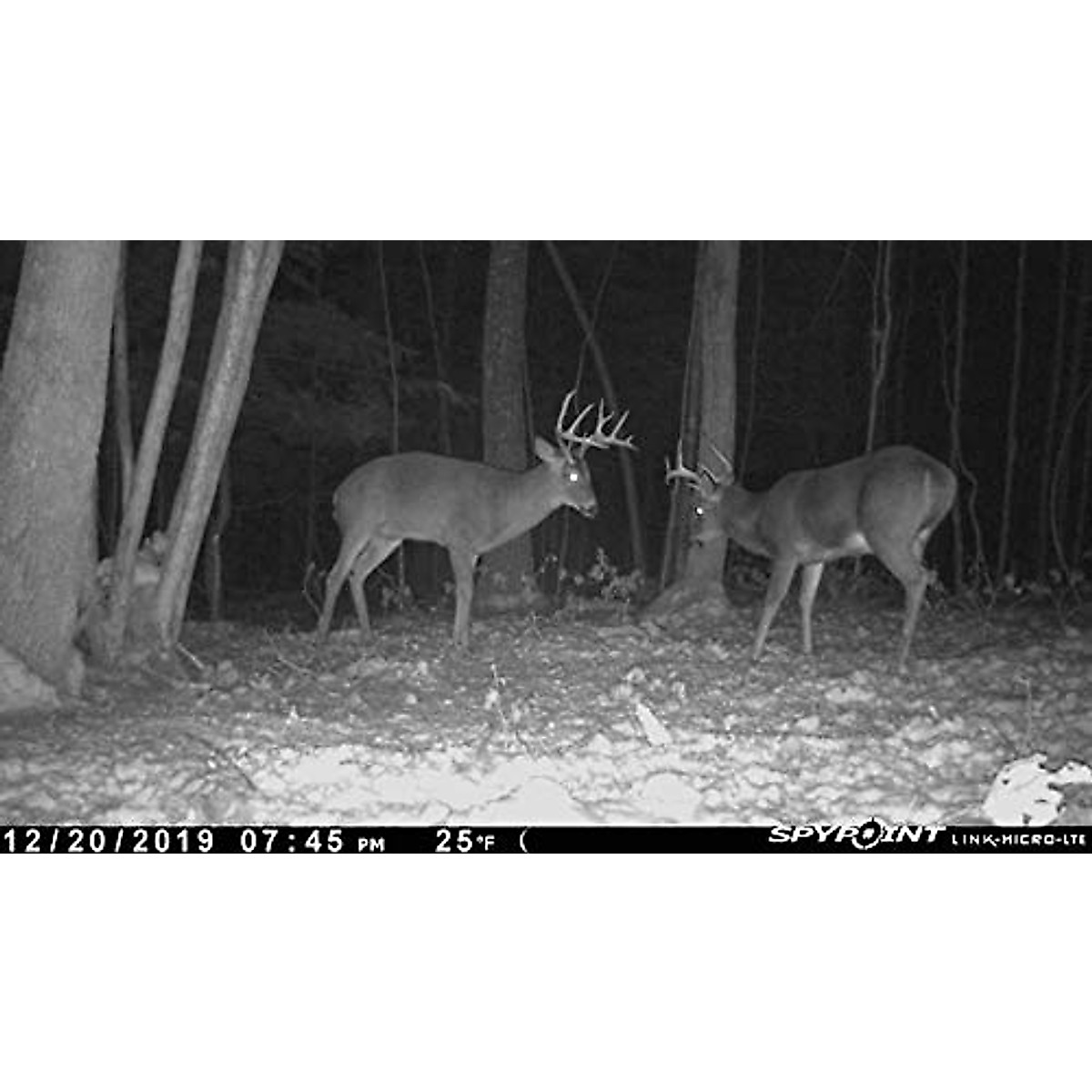 SPYPOINT Link-Micro-LTE Cellular Trail Cameras 10MP with Low-Glow and 32GB Micro SD Card (Link-Micro-LTE)