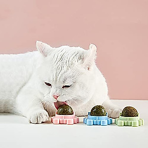 Kayina Catnip Wall Ball, 3-Piece Cat Toys, Edible Cat Licking Toy, Cat Chew Toy, Teeth Cleaning Cat Bite Toy, Rotatable Indoor Cat Toy, Cat Wall Decoration