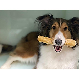 Pet Full House WoofWood Dog Chew Sticks