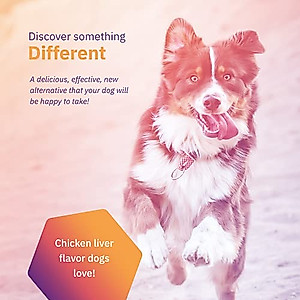 MOVOFLEX Dog Hip & Joint Support for Large Dogs - Veterinarian Formulated - One Chew A Day Serving Size - Gluten Free - 60 Soft Chews