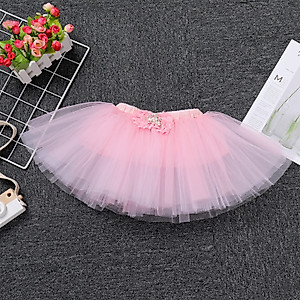 Newborn Coming Home from Hospital Outfit: The Princess Has Arrived Baby Girl Romper Tulle Tutu Skirt Headband 1st Birthday Cake Smash Photoshoot New Born Infant Girls Clothes Full Set Pink 0-3 Months