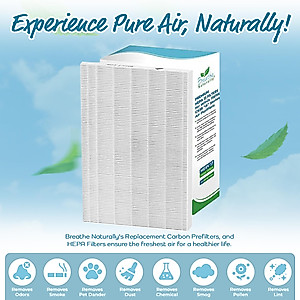 Breathe Naturally Replacement Filters Compatible with Winix C535, Plasmawave 5300, 6300 and Aeramax 300/290 Air Purifiers - True HEPA Filters for Home Purifiers - 12.6" x 16.3" x 1.25" (1 HEPA Filter)