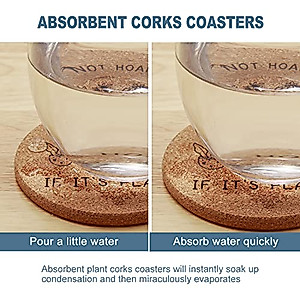 Homento Funny Plant Coasters for Drinks Absorbent with Holder-Plant Gifts for Plant Lovers Women,Funny Succulent Gifts for Gardeners,Crazy Plant Lady Gift,Plant Cork Coasters with Cork Base,Set of 6