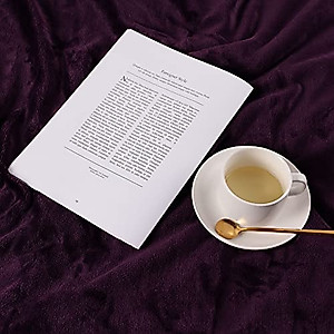 NANPIPER Baby Sherpa Blanket,Warm Toddler Throw Blanket,Soft Newborn Fleece Blanket for Winter (Purple,30x40 inches)