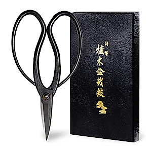 Wazakura Bonsai Scissors MADE IN JAPAN 7inch(180mm), Japanese Bonsai Garden Tools, Hasami Pruning Shears - Traditional Black
