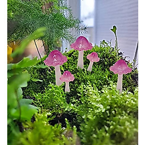 coonoe Mini Mushrooms for Fairy Garden, Translucent Fairy Garden Mushrooms with Stakes for Terrarium, Potted Plant, Mini Mushroom Garden Decor, Crafted Cute Tiny Fairy Garden Accessories