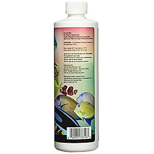 Hikari Usa AHK73316 Salt water Ich-X for Aquarium, 16-Ounce