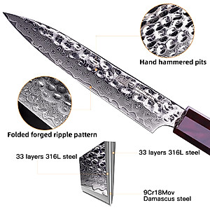 FINDKING 5 Inch Kitchen Utility Knife with ABS sheath, Multi-Purpose Japanese Paring Knife, Damascus Steel Blade, Resin Octagonal Handle, Small, for Fruits Vegetables (Eternity Series)