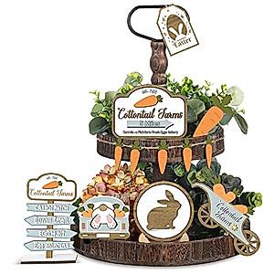 Easter Tiered Tray Decor Spring Table Wooden Sign Decorations Easter Tabletop Farmhouse Signs Carrot Egg Bunny Decor for Easter Party Home Kitchen Holiday (Carrot, 12 Pcs)
