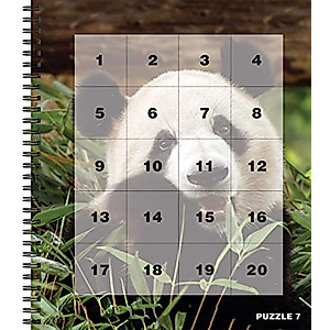 Brain Games - Sticker by Number: Zoo Animals (Easy - Square Stickers): Create Beautiful Art With Easy to Use Sticker Fun!