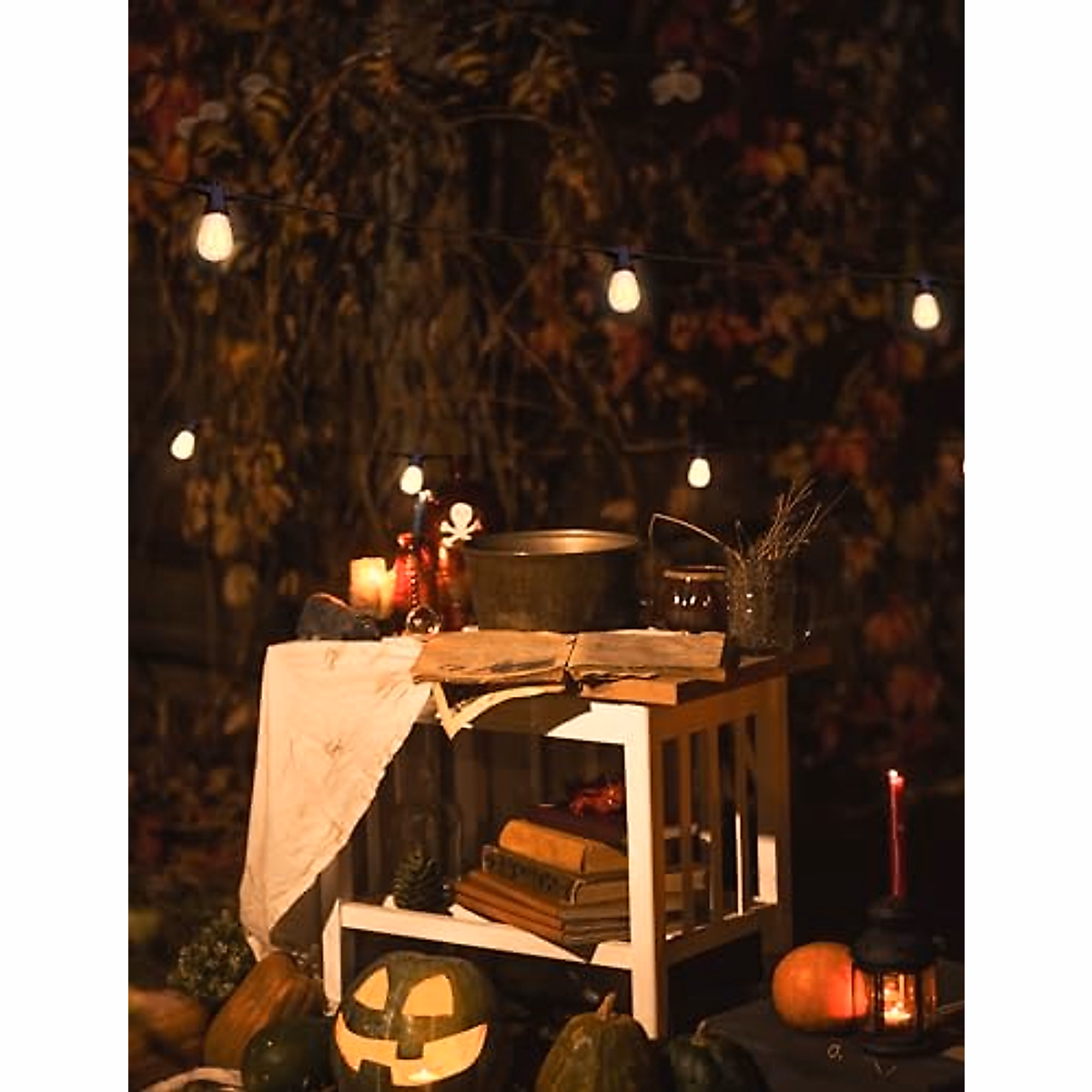 Brightech Ambience Pro Solar Powered LED Outdoor String Lights - 27 Ft Commercial Waterproof Patio Lights with Flaming, Flickering Bulbs - Shatterproof String Lights for Your Halloween, Porch, Deck