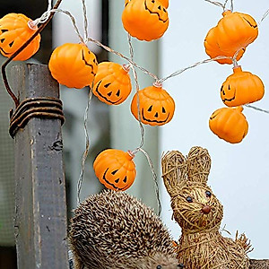 1m/2m/3m Halloween Pumpkin Led String Lights Garden Home Party Decoration Holiday String Light Halloween Lights 1M 10 LEDs（Arrived in About 15 Days）
