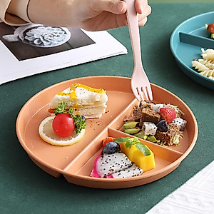 2Pack 9 Inch Portion Control Plates, Divided Plates for Adults, Round Bariatric Dinner Plate for Adults, Dishwasher Safe (Blue & Green)