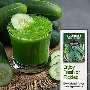 Survival Garden Seeds - Straight Eight Cucumber Seed for Planting - Packet with Instructions to Plant and Grow Pickling and Slicing Cucumbers in Your Home Vegetable Garden - Non-GMO Heirloom Variety