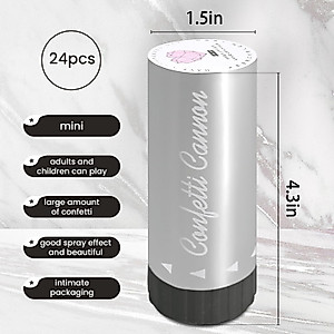 Small Confetti Cannon 24 Pack Mini Confetti Poppers Gold Party Poppers Confetti Small Party Confetti for Kids Ideal for Weddings Birthdays Graduations Baby Shower Christmas New Years (Silver)